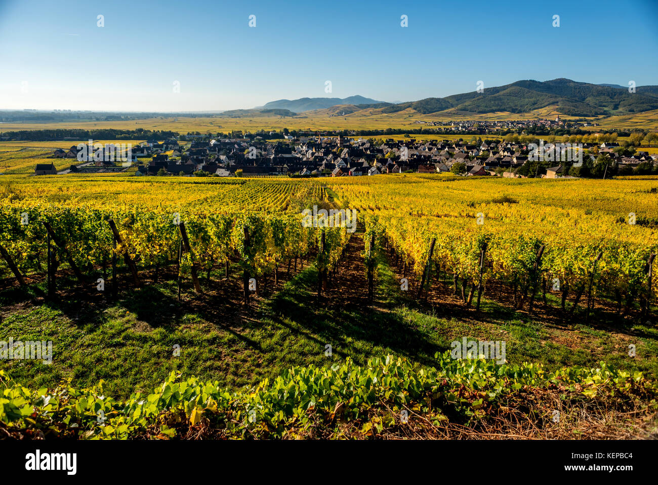 Kientzheim, Alsace in France Stock Photo - Alamy