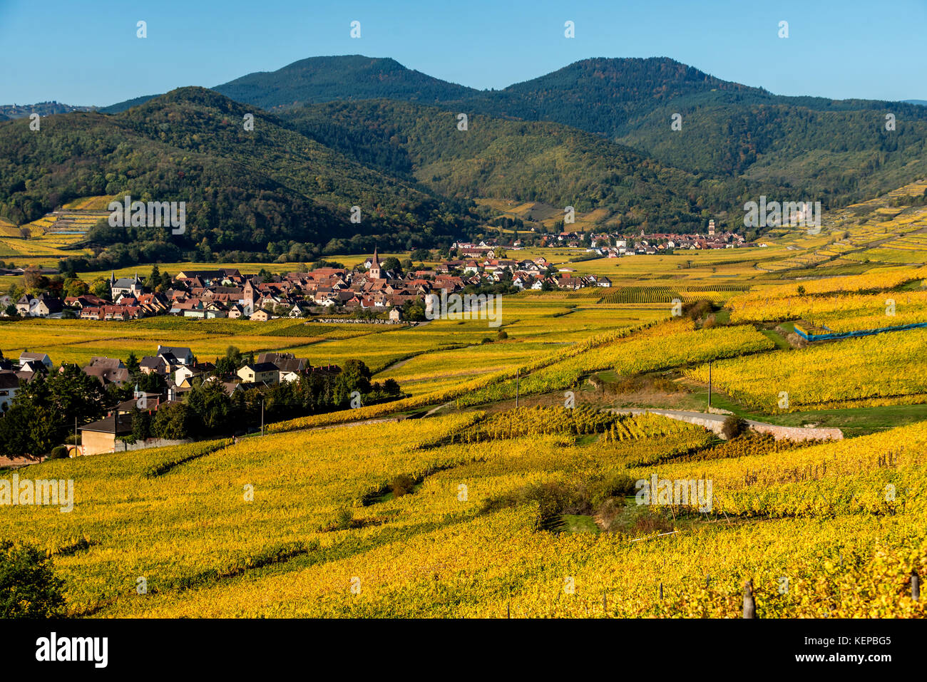 Kientzheim, Alsace in France Stock Photo - Alamy