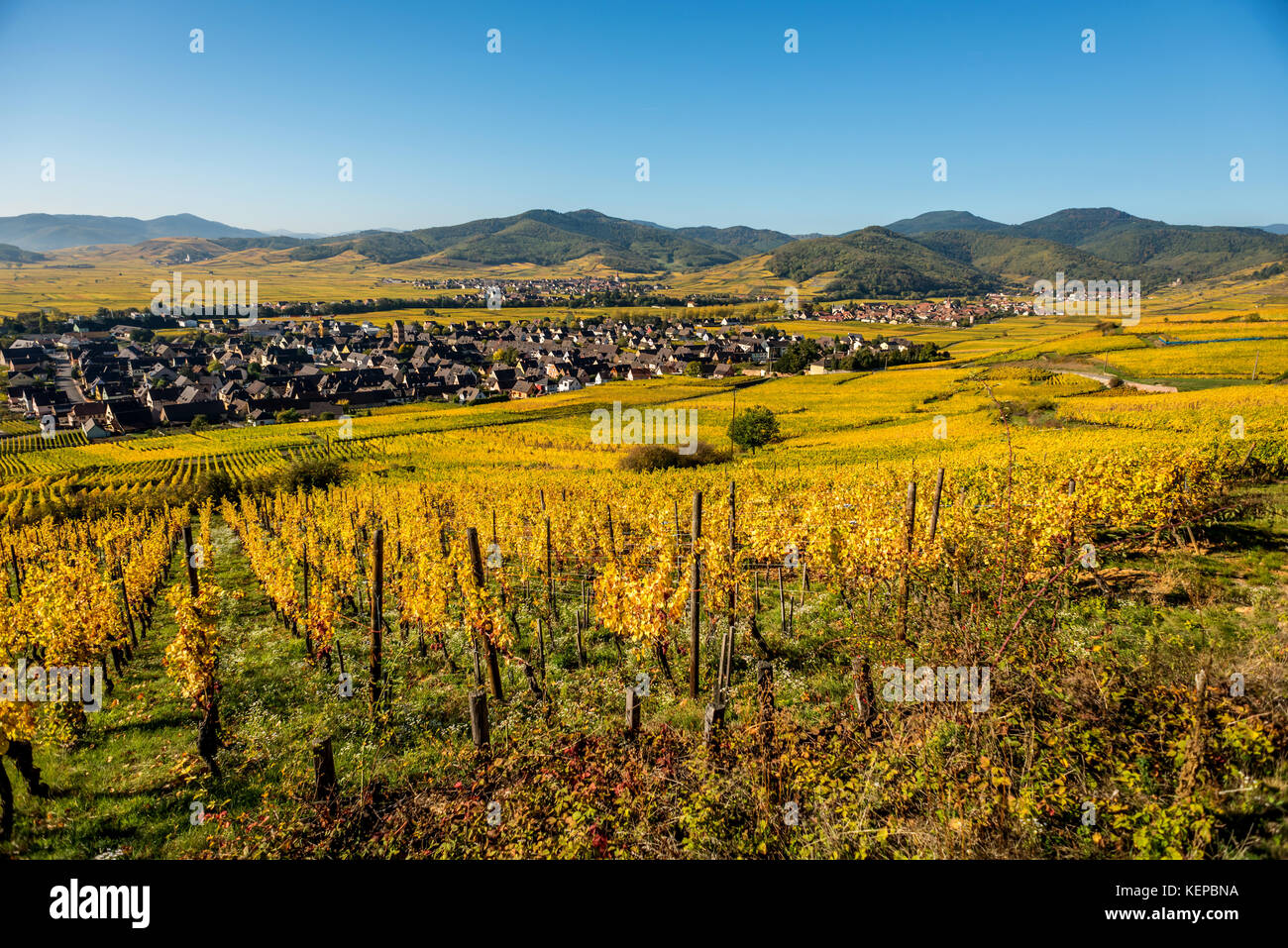 Kientzheim, Alsace in France Stock Photo - Alamy