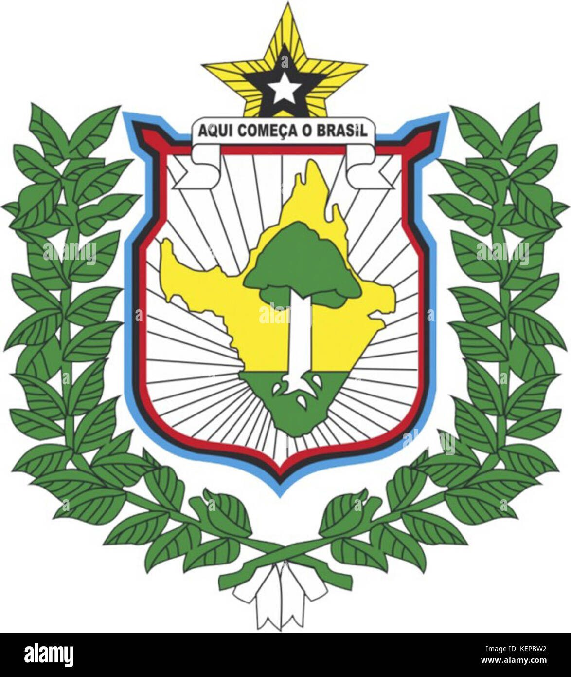 Amapa tree hi-res stock photography and images - Alamy