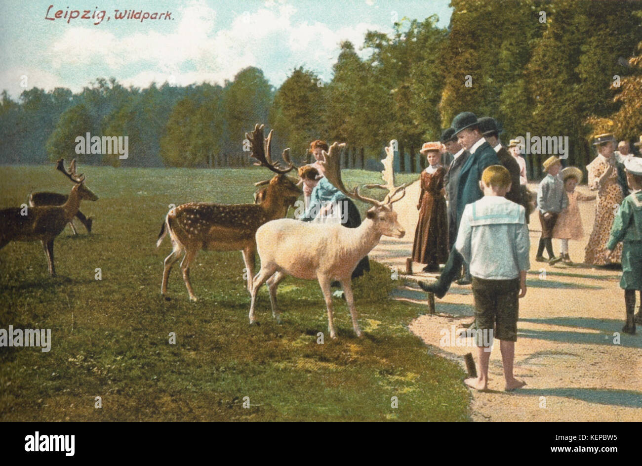 Leipzig Wildpark 1911 Stock Photo - Alamy