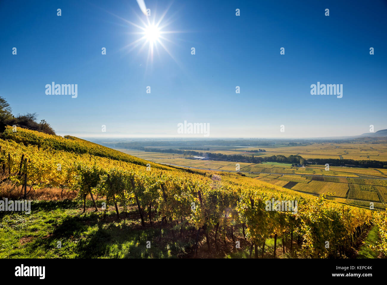 Kientzheim, Alsace in France Stock Photo - Alamy