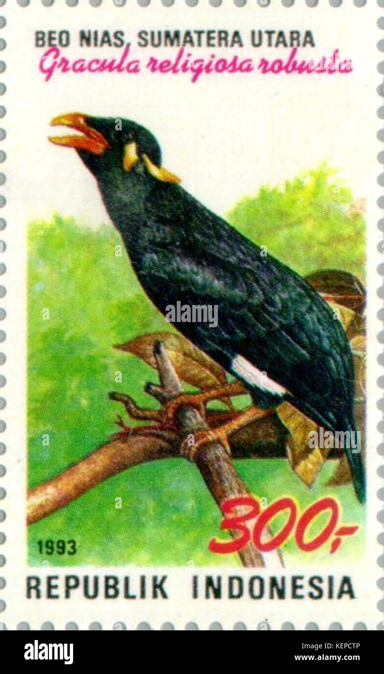 Gracula religiosa robusta 1993 Indonesia stamp crop Stock Photo - Alamy