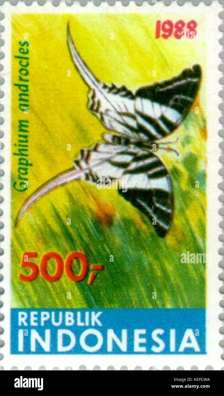 Androcles hi-res stock photography and images - Alamy