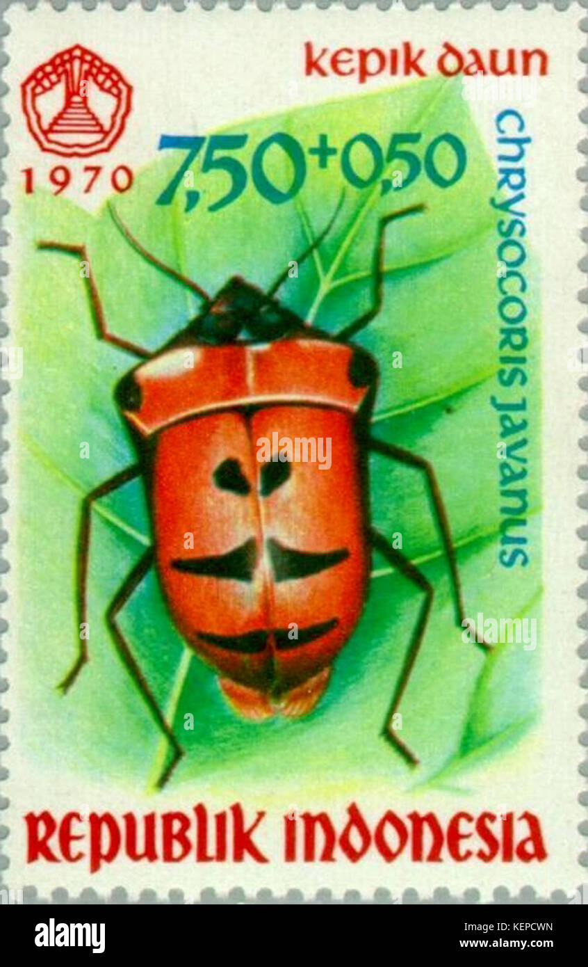 Javanus hi-res stock photography and images - Alamy