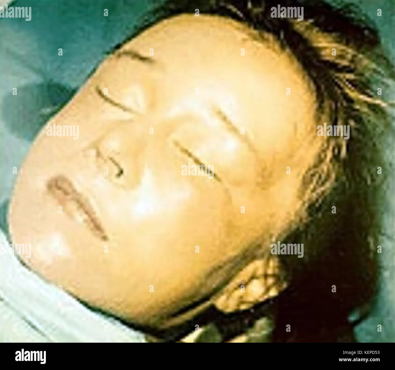 Jane doe murder hi-res stock photography and images - Alamy