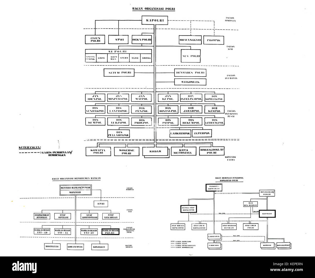 This page presents a detailed overview of the organizational structure ...