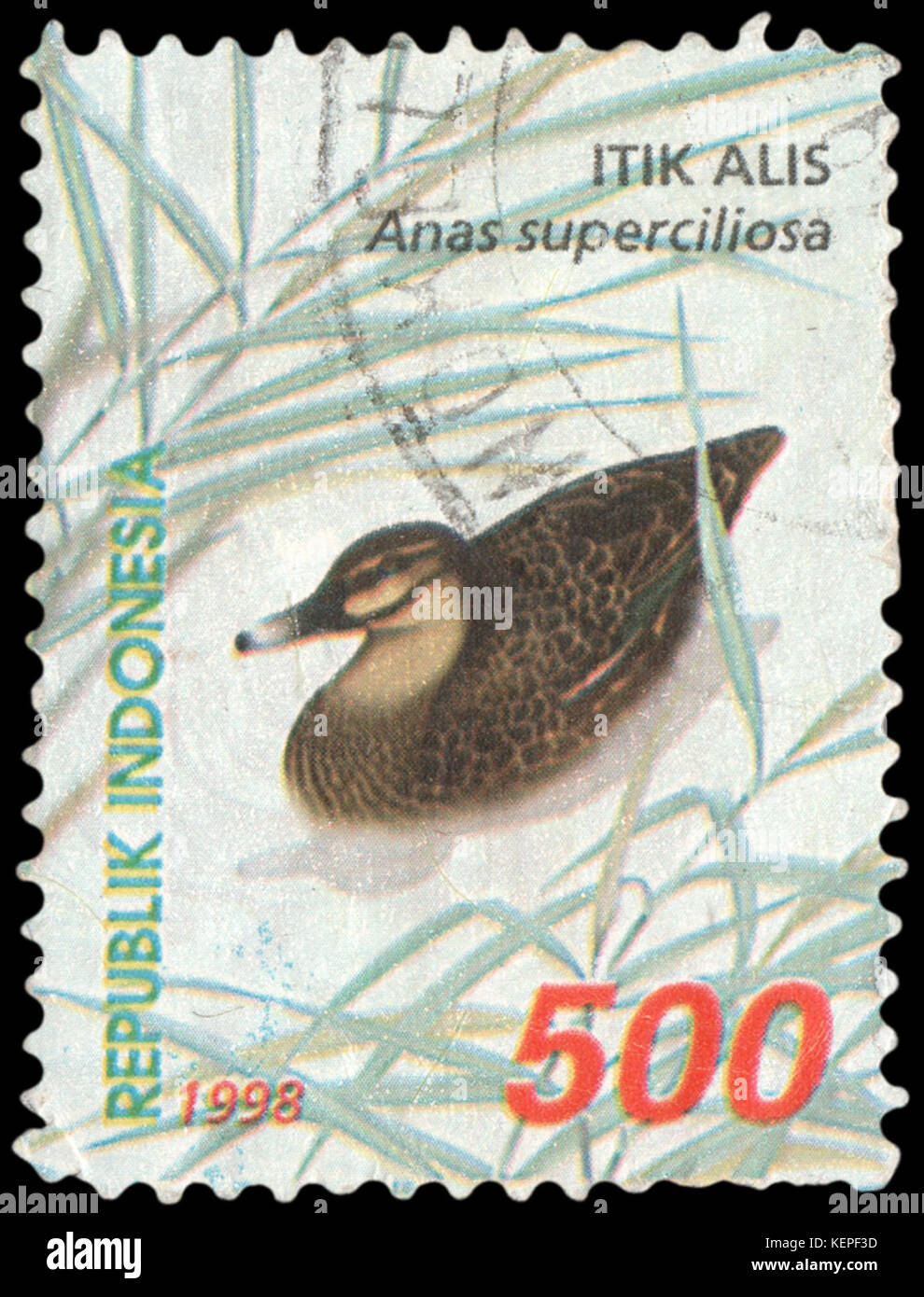 Itik High Resolution Stock Photography and Images - Alamy