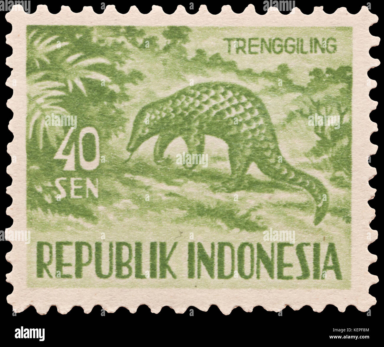 Trenggiling hi-res stock photography and images - Alamy