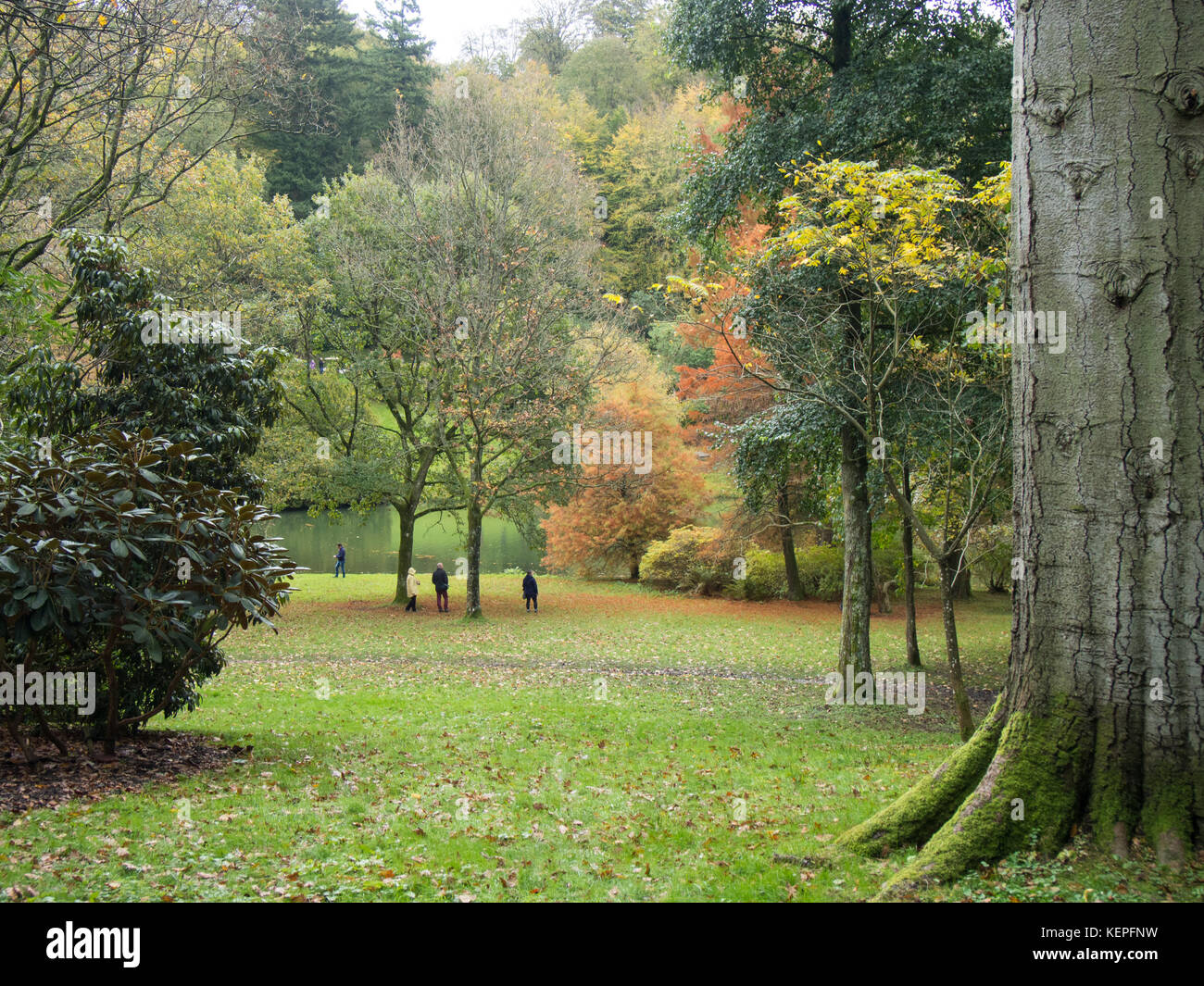 Stourhead Gardens, Wiltshire, autumn colours, October 2017 Stock Photo ...