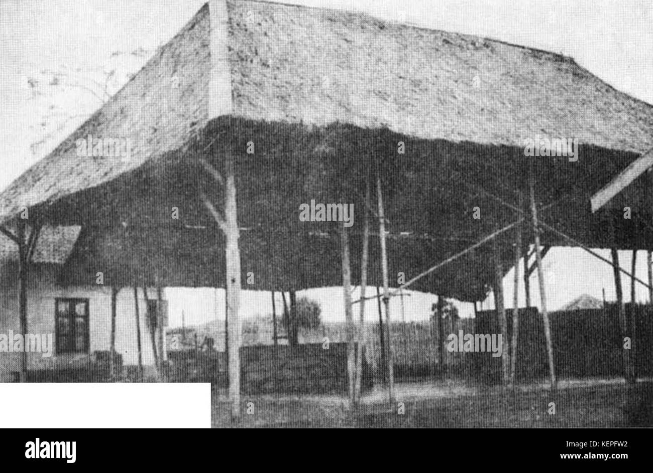 Persari Studio (1950), Peran Pemuda dalam Kebangkitan Film Indonesia ...