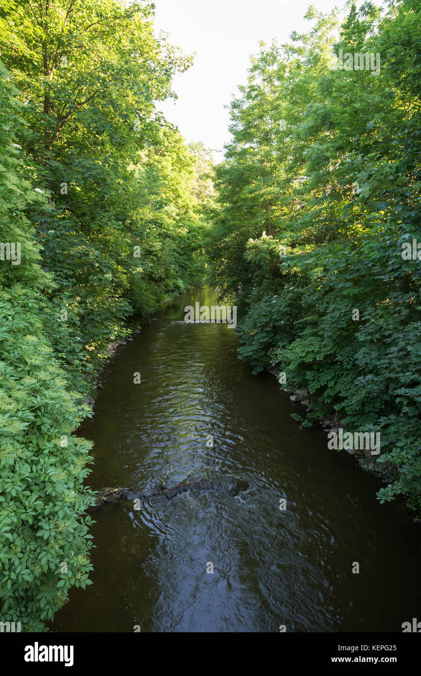 View of water canal and lush, verdant trees on the Kampa Island in ...