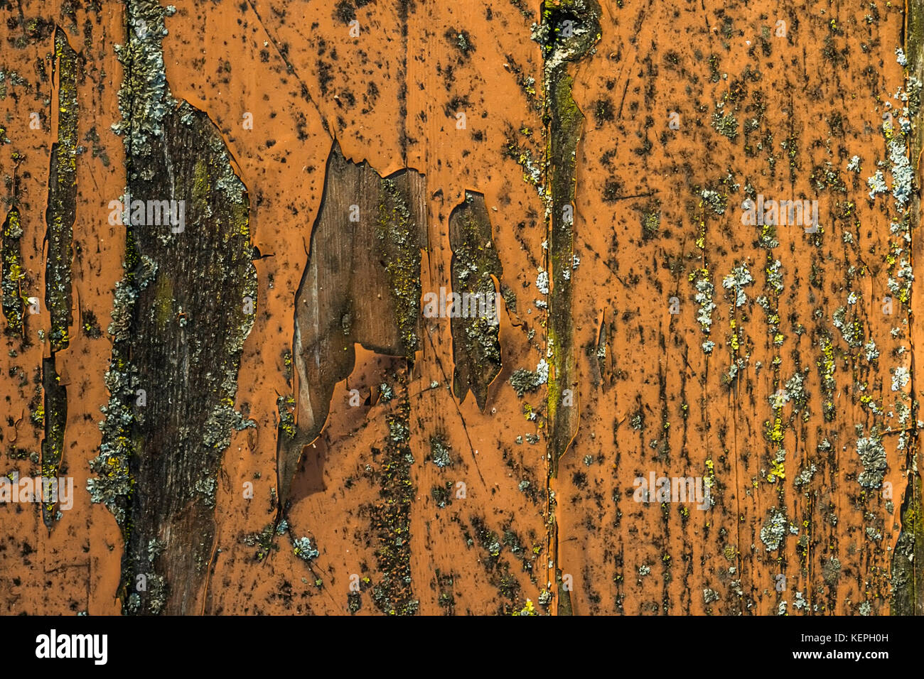 The old wood texture with deep natural patterns and deep cracks ...