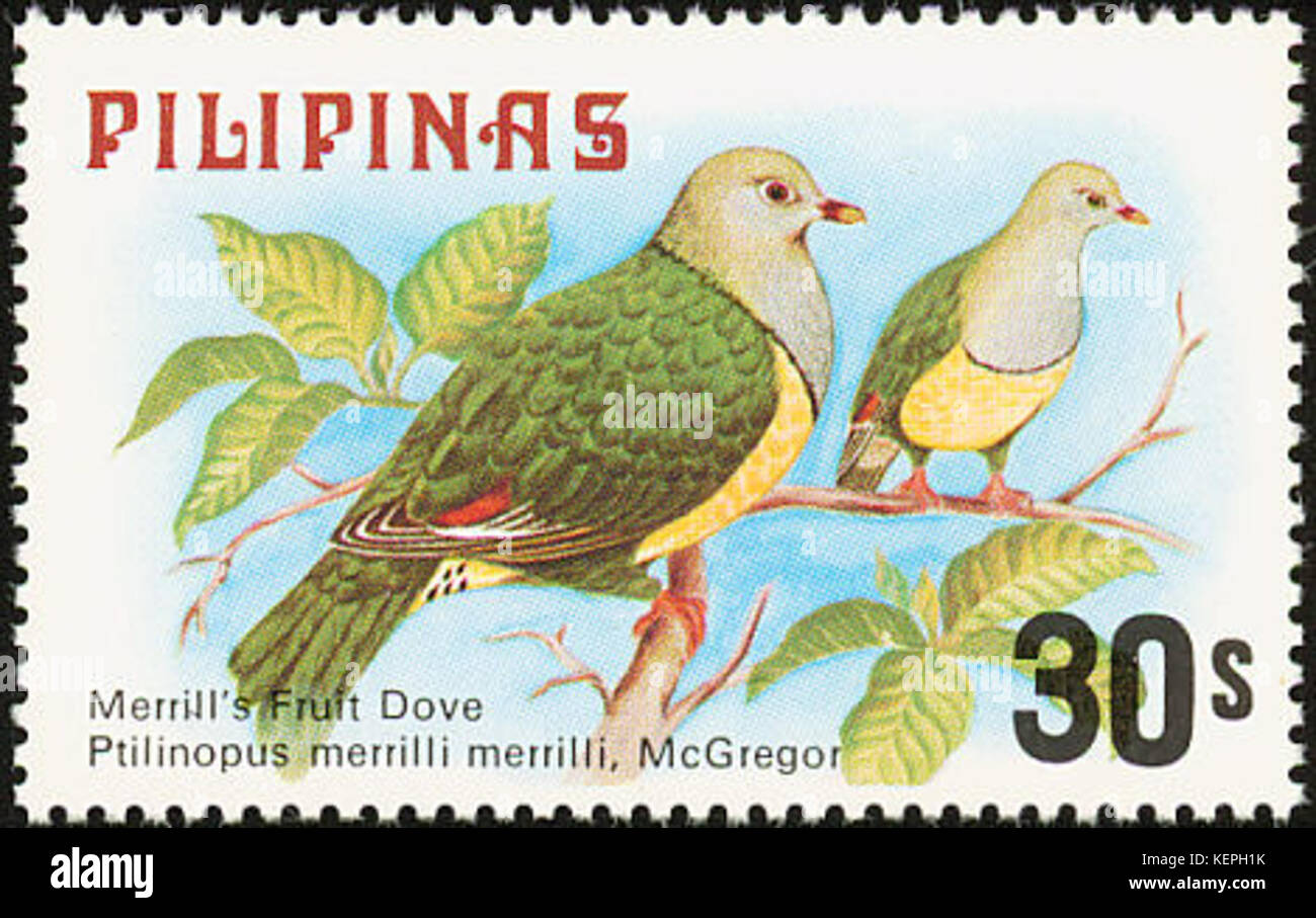 Ptilinopus merrilli 1979 stamp of the Philippines Stock Photo - Alamy