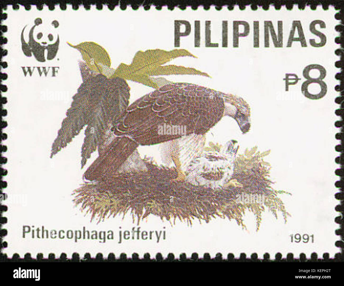 Pithecophaga jefferyi 1991 stamp of the Philippines 4 Stock Photo - Alamy