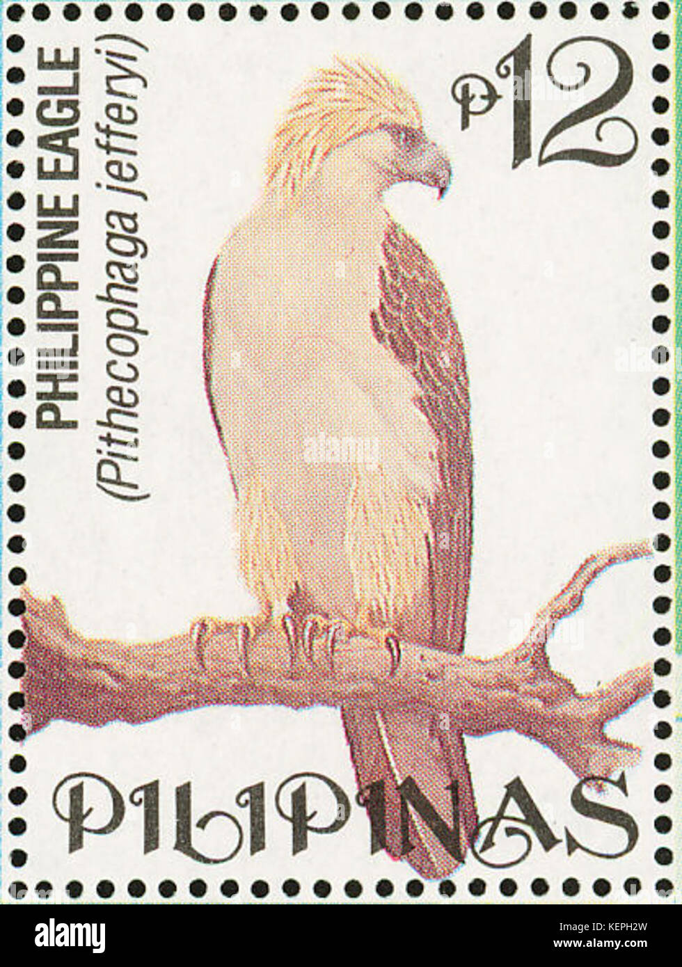 Pithecophaga jefferyi 1994 stamp of the Philippines Stock Photo - Alamy