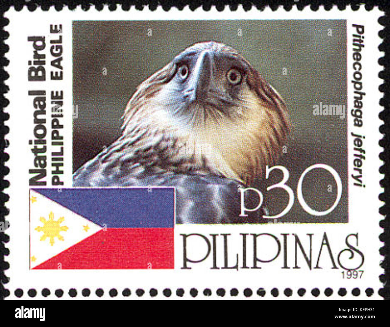 Pithecophaga jefferyi 1997 stamp of the Philippines 2 Stock Photo - Alamy