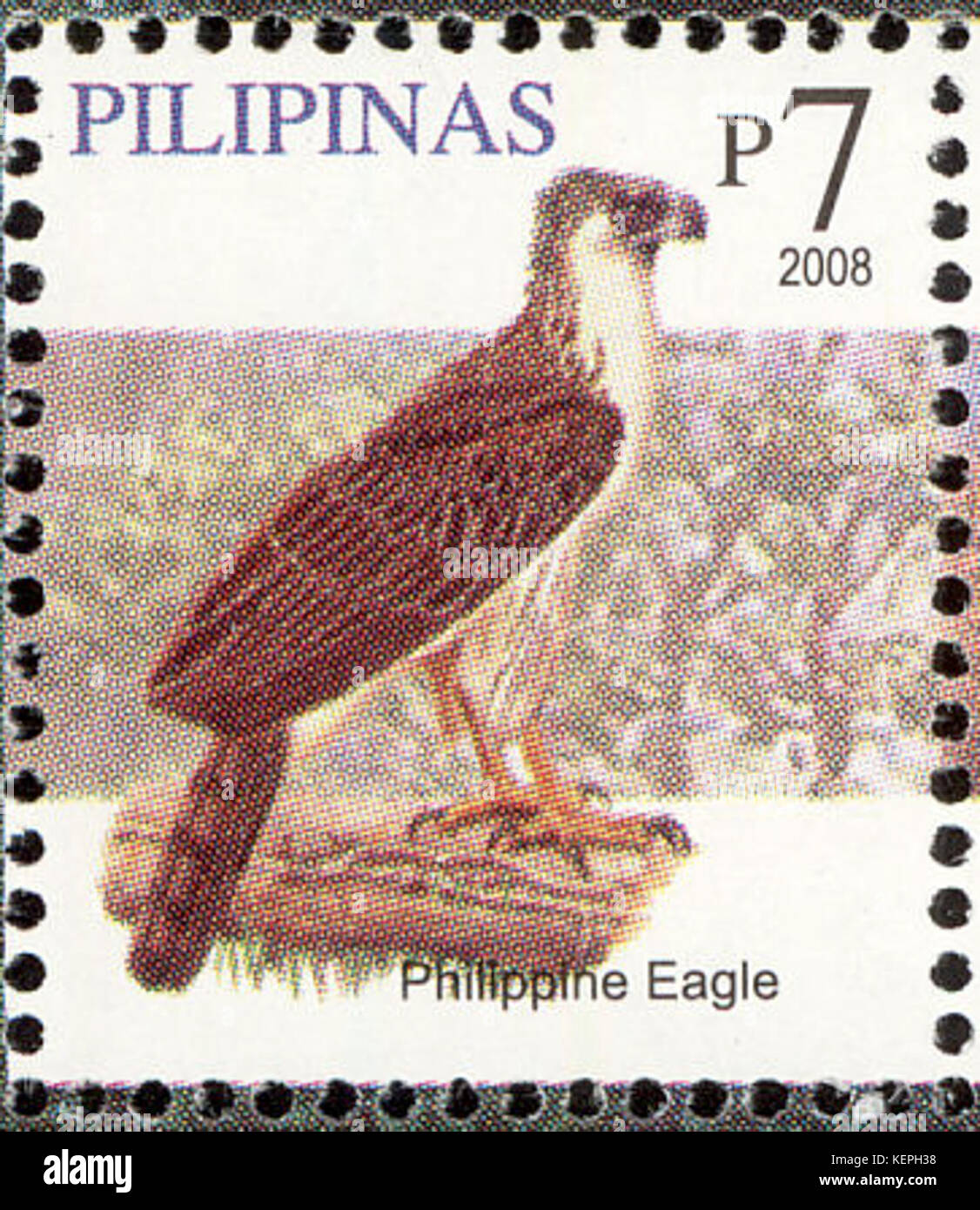 Pithecophaga jefferyi 2008 stamp of the Philippines Stock Photo - Alamy