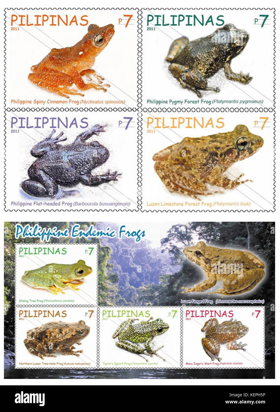 Endemic frogs 2011 stampsheet of the Philippines Stock Photo - Alamy