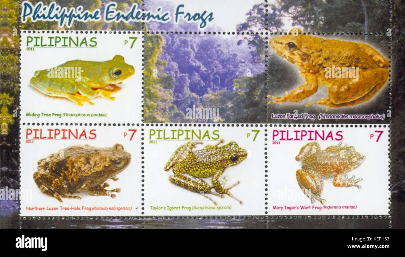 Endemic frogs 2011 stampsheet of the Philippines 2 Stock Photo - Alamy