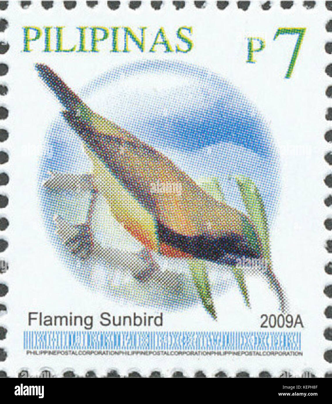Aethopyga flagrans 2009 stamp of the Philippines Stock Photo - Alamy