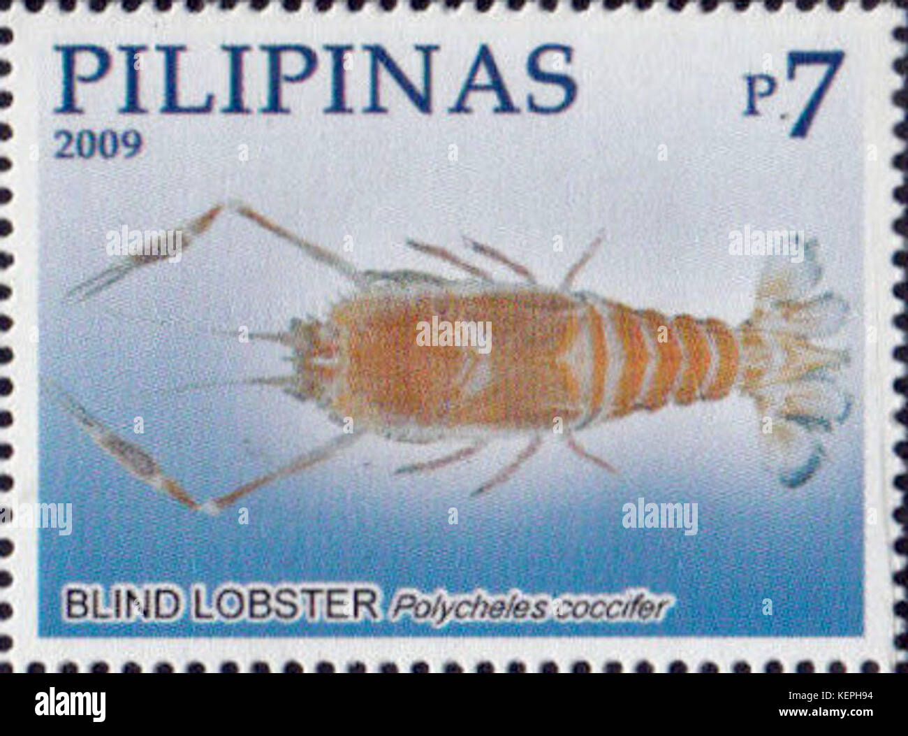 Polycheles coccifer 2009 stamp of the Philippines Stock Photo - Alamy