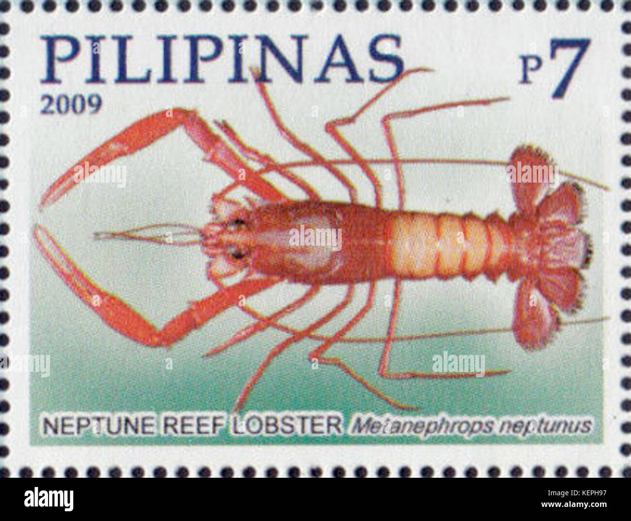 Metanephrops neptunus 2009 stamp of the Philippines Stock Photo - Alamy