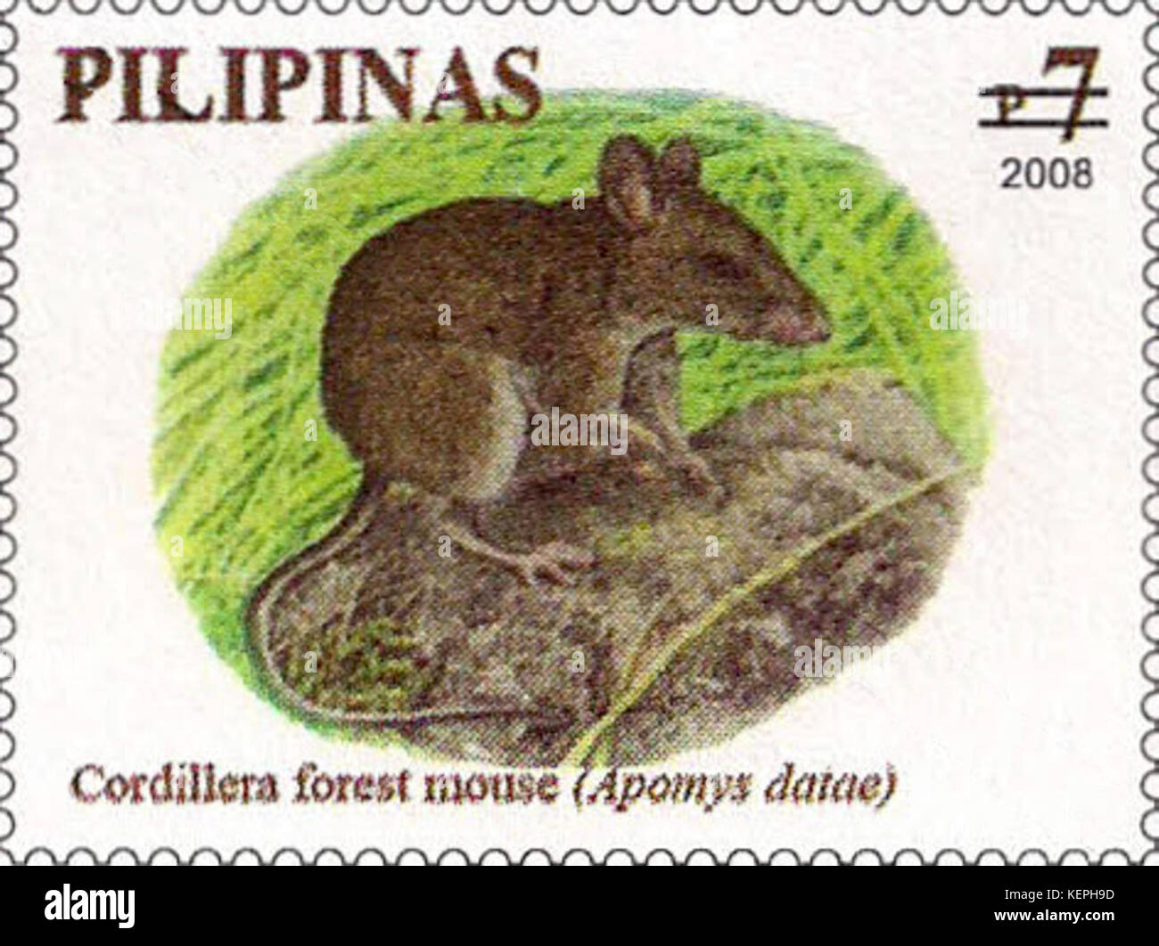 Apomys datae 2008 stamp of the Philippines Stock Photo - Alamy
