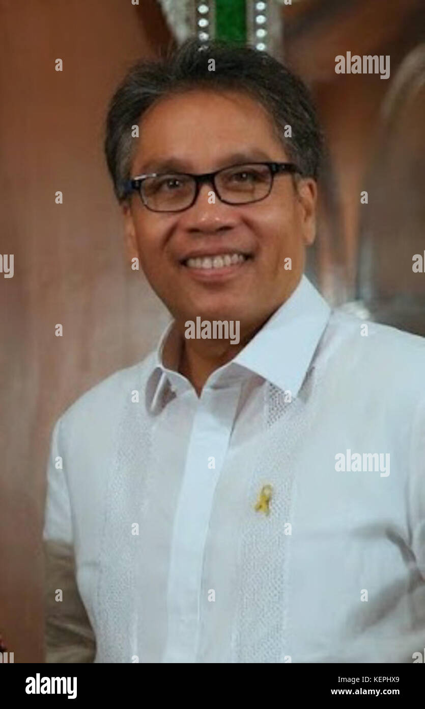 Mar Roxas 082014 Stock Photo - Alamy