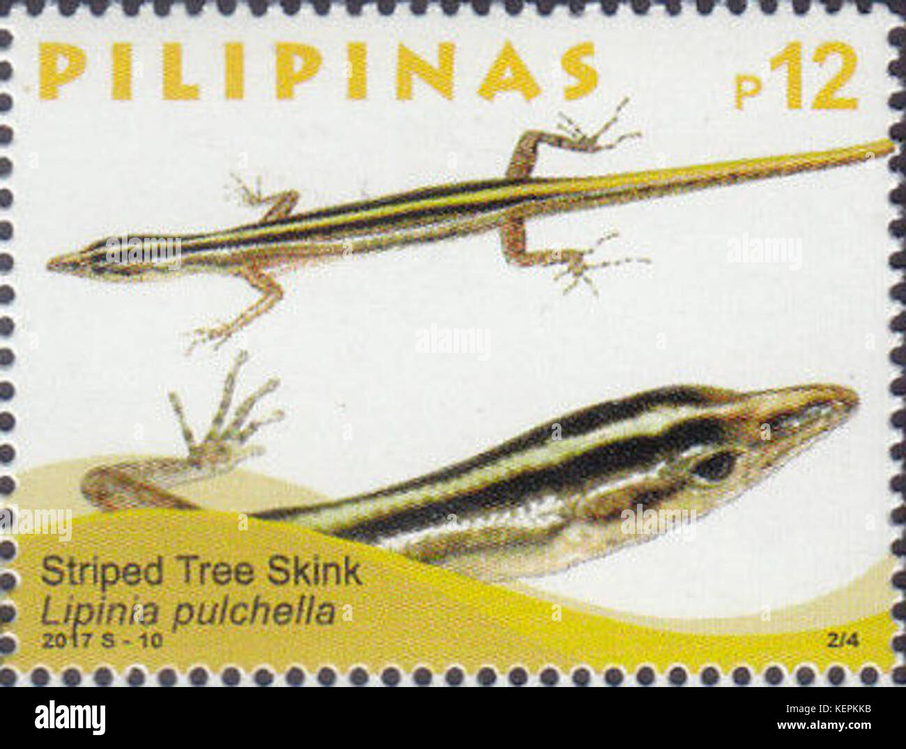 Lipinia pulchella 2017 stamp of the Philippines Stock Photo - Alamy