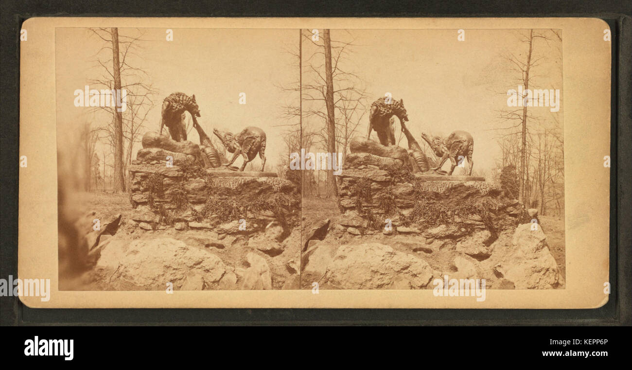 Sculpture of Wolves, from Robert N. Dennis collection of stereoscopic ...