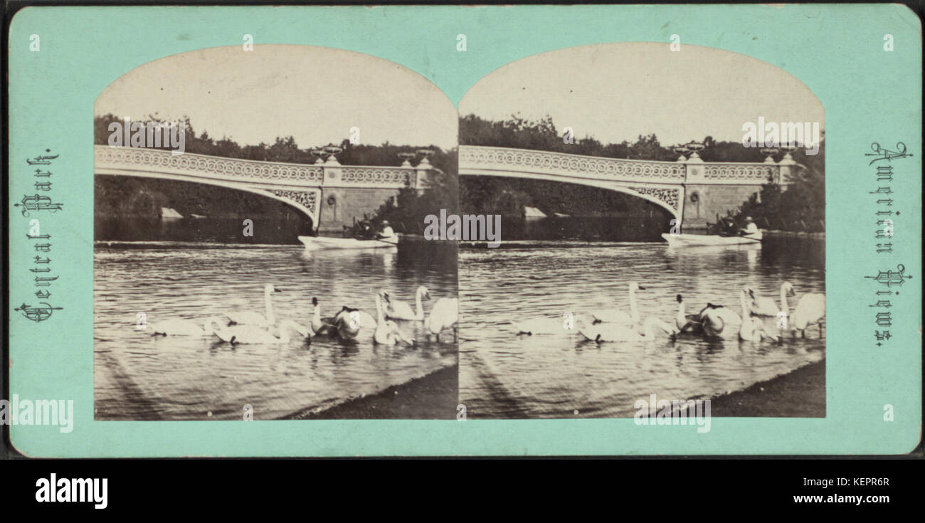 This painting by William M. Chase depicts a tranquil scene of swans on ...