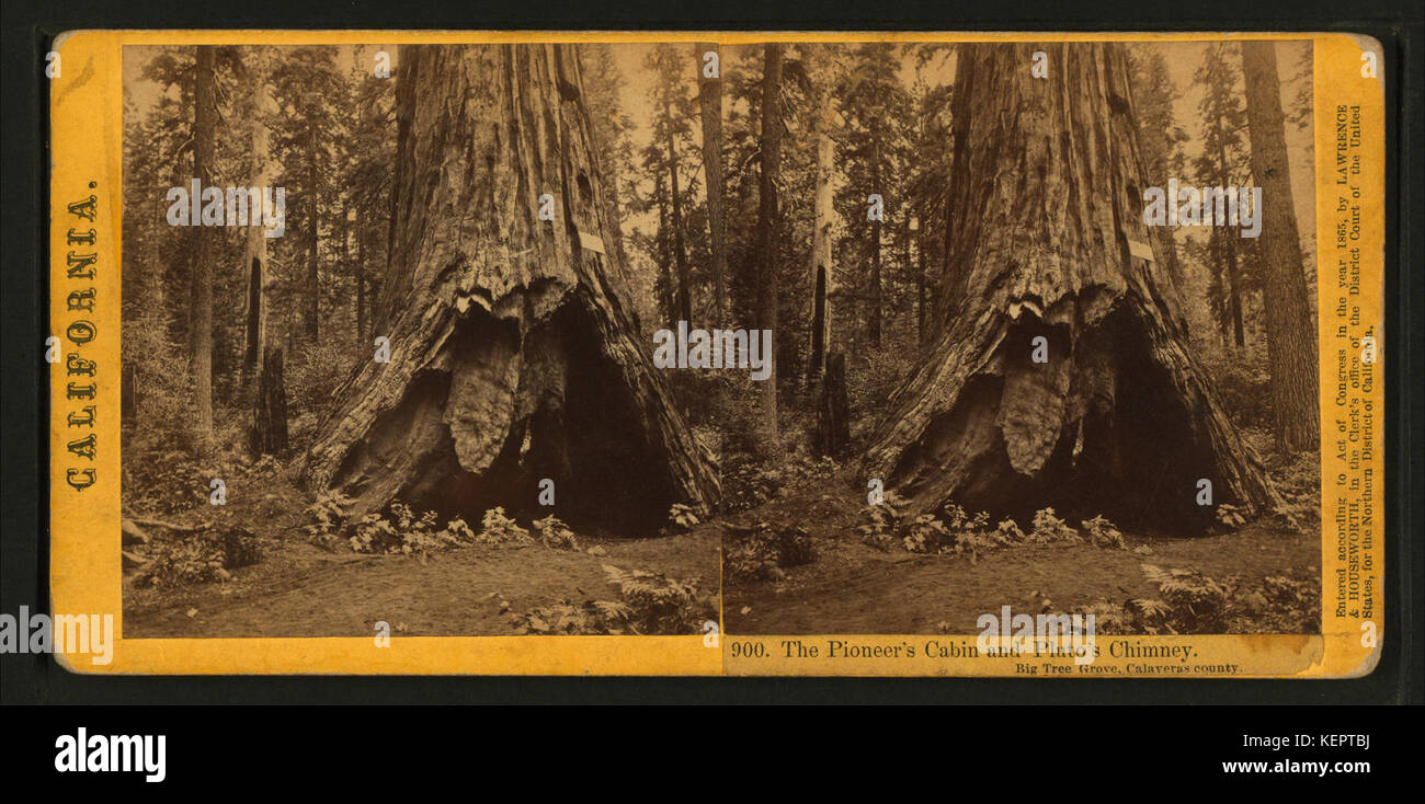 The Pioneer's Cabin and Pluto's Chimney, Big Tree Grove, Calaveras ...