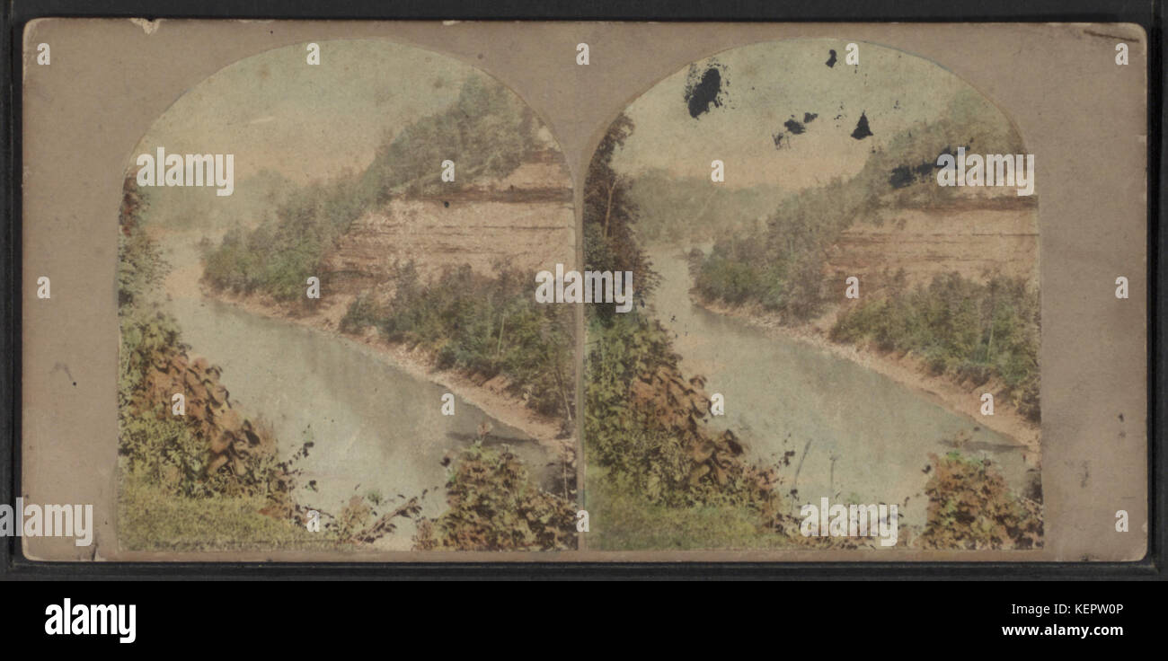 View down the River, from below the Falls, by New York Stereoscopic Co ...