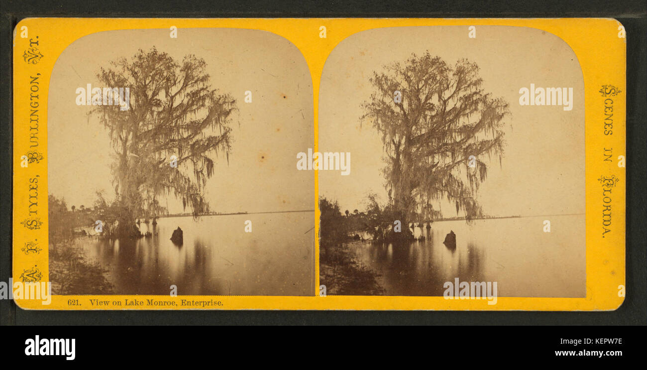 View on Lake Monroe, Enterprise, Florida, by Styles, A. F., 1832 1910 ...