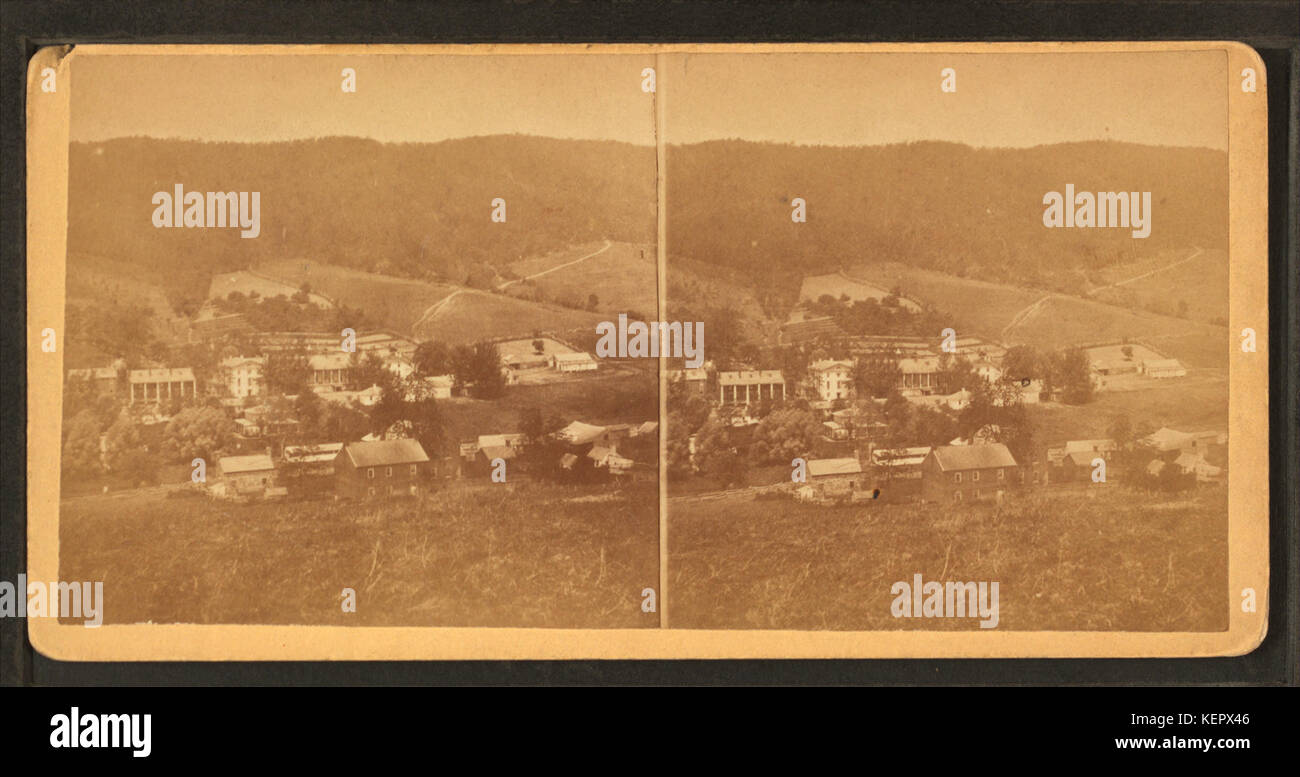 Warm Springs (about 1875), from Robert N. Dennis collection of ...