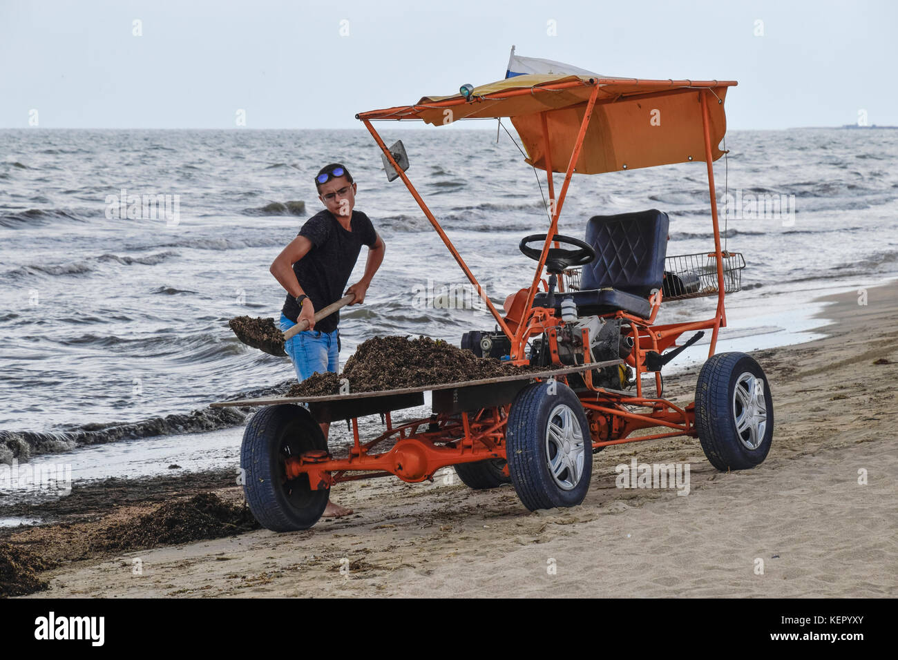 The car for garbage collection from the beach. Cleaning on the beach ...