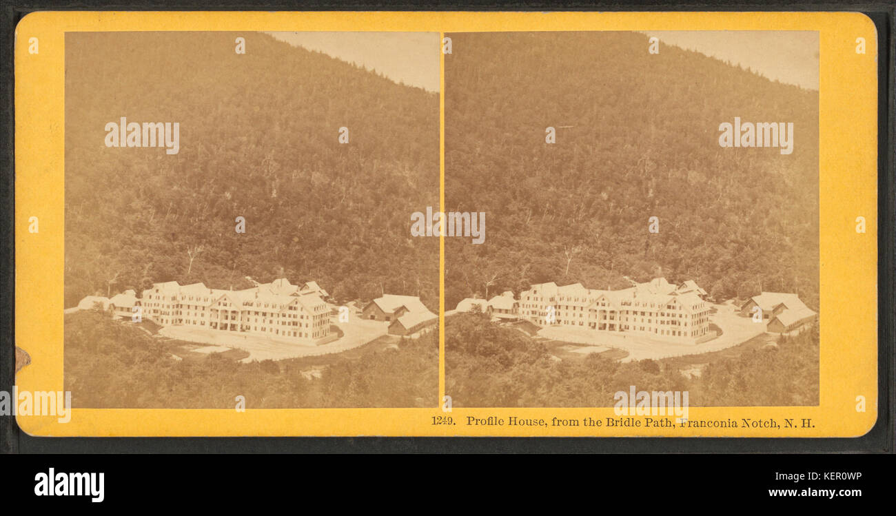 Profile House, from the Bridle Path, Franconia Notch, N.H, by Kilburn ...