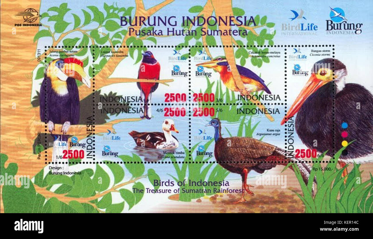 Birds of Indonesia 2009 Stock Photo - Alamy