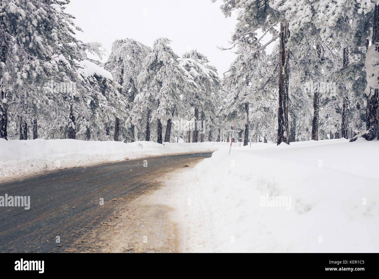 winter road and snow with landscape of trees with frost Stock Photo - Alamy