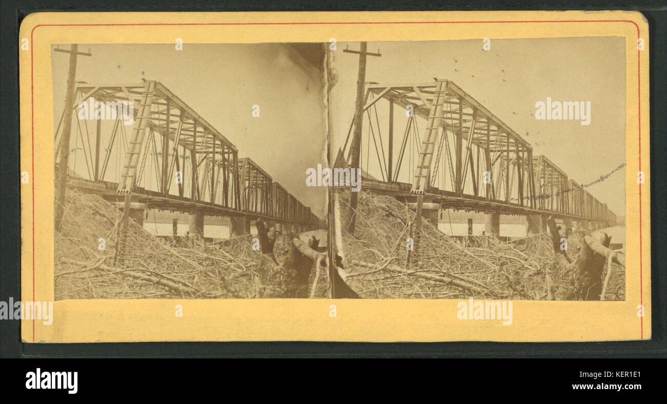 Railroad bridge, Mobile, Alabama, by Sandoz, Albert, 1836 1897 4 Stock ...