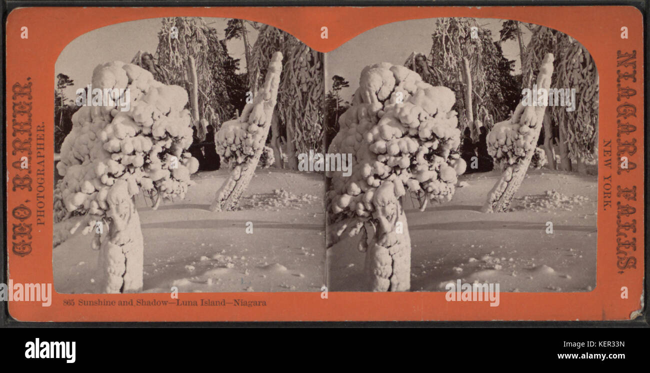 Sunshine and shadow, Luna Island, Niagara, by Barker, George, 1844 1894 ...