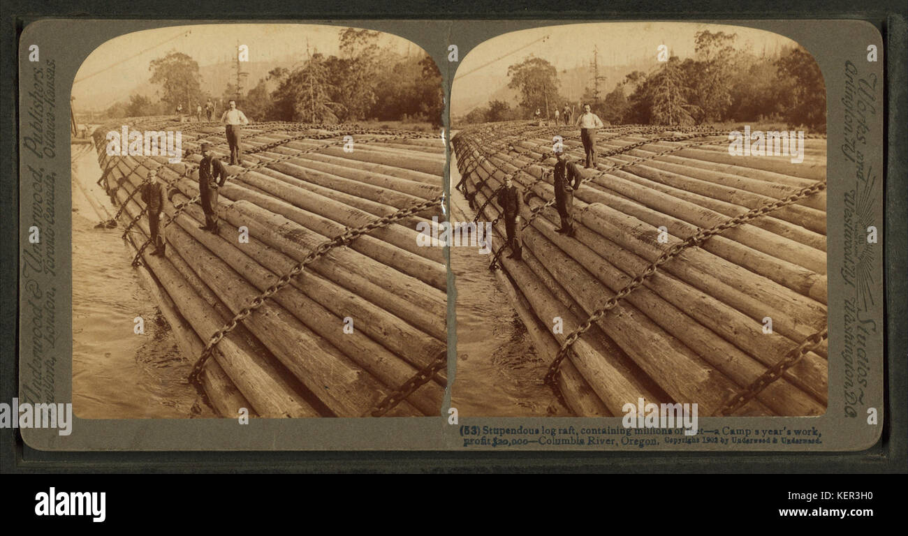 Stupendous Log raft, containing millions of feet. Columbia River ...