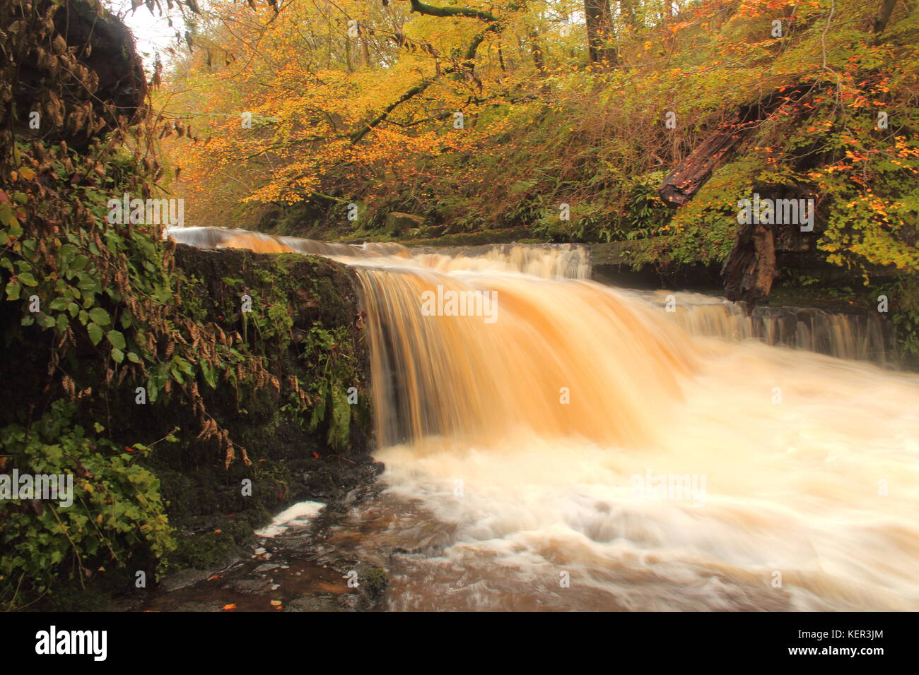 Caaf water hi-res stock photography and images - Alamy