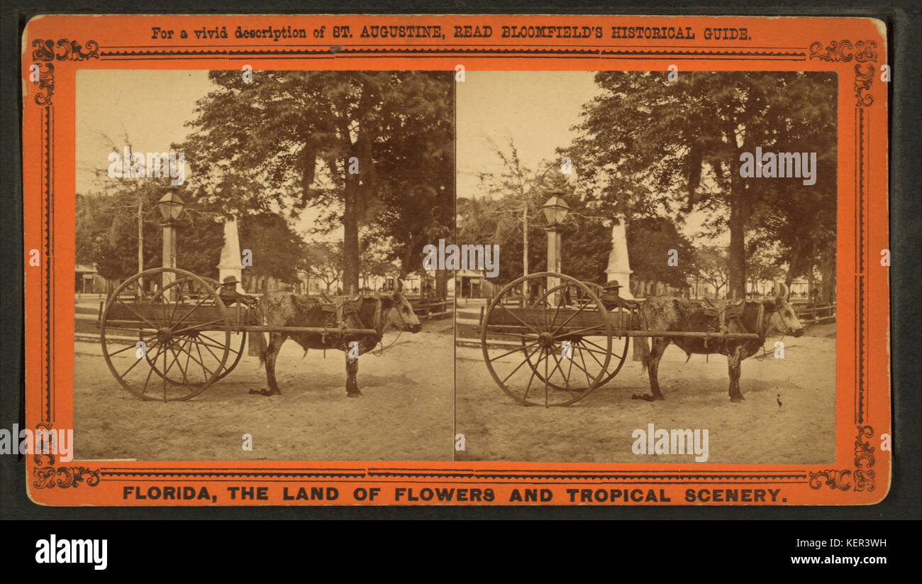 Lightning Express High Resolution Stock Photography and Images - Alamy