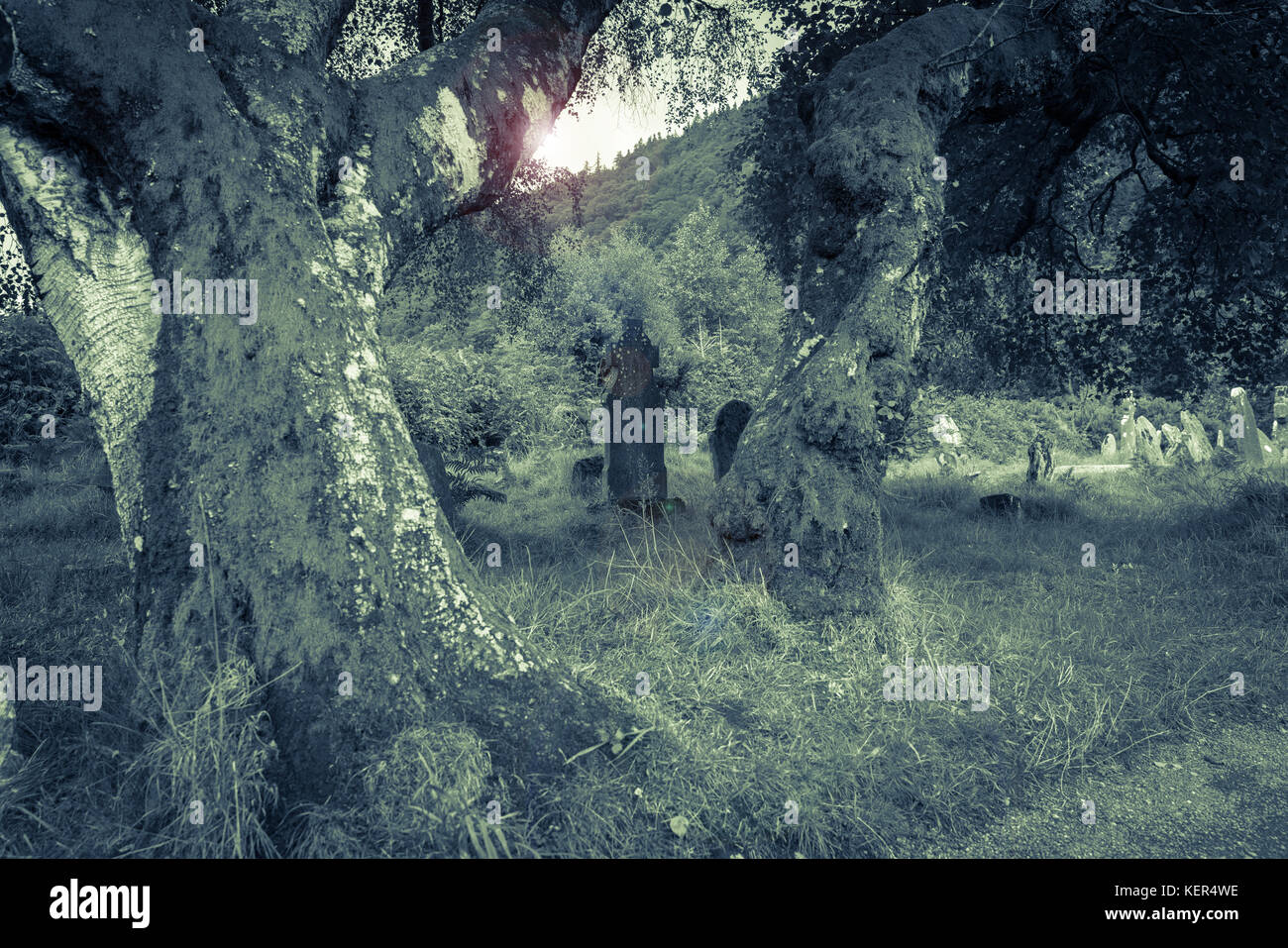 Spooky old graveyards under moss encrusted old trees and in long grass ...