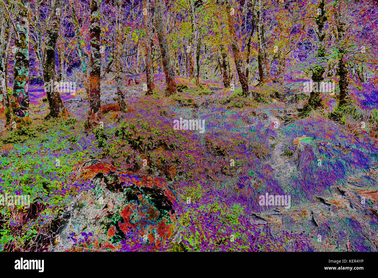 Mystical colors hi-res stock photography and images - Alamy