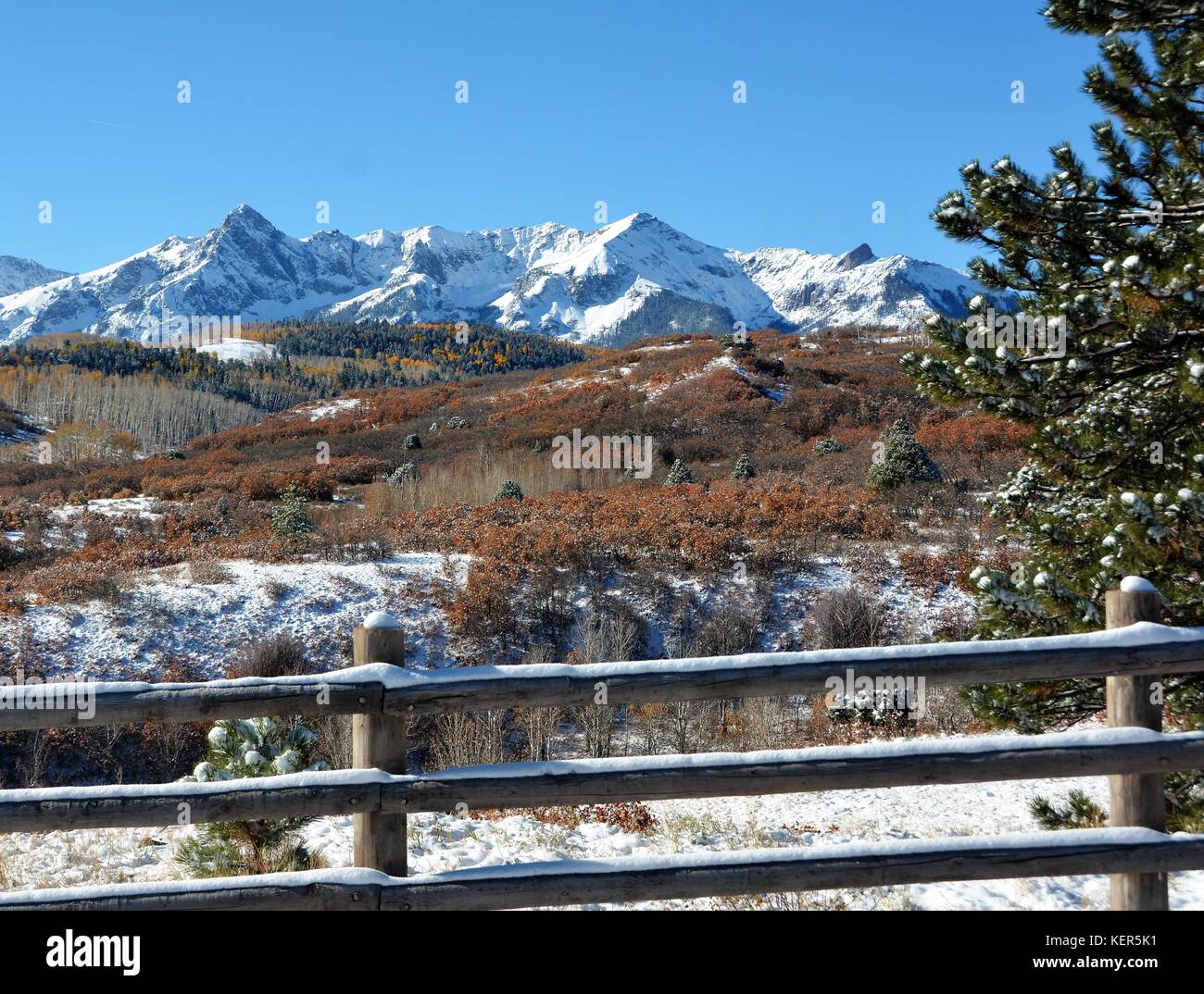 Colorado in the Fall with Golden Aspen Trees Stock Photo - Alamy