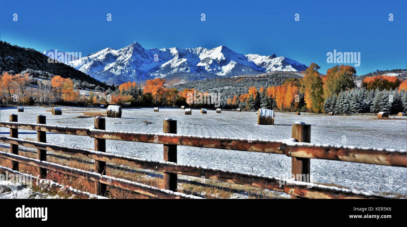 Colorado in the Fall with Golden Aspen Trees Stock Photo - Alamy