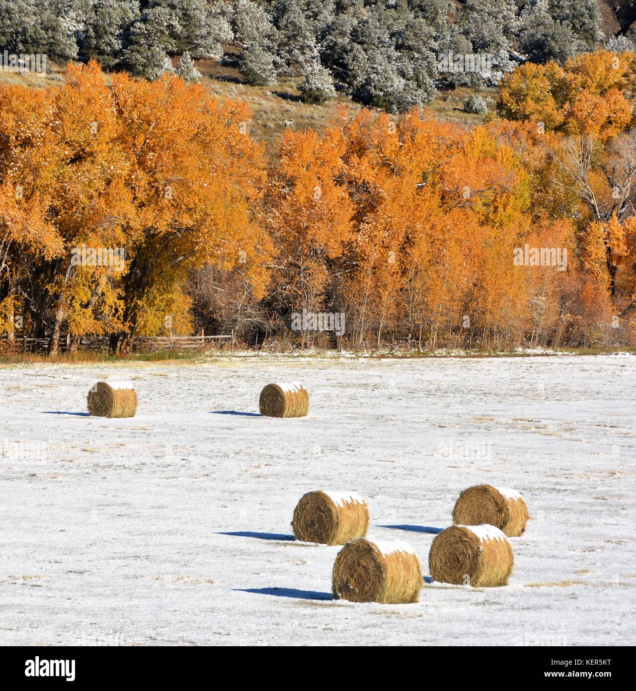 First cut hay hi-res stock photography and images - Alamy